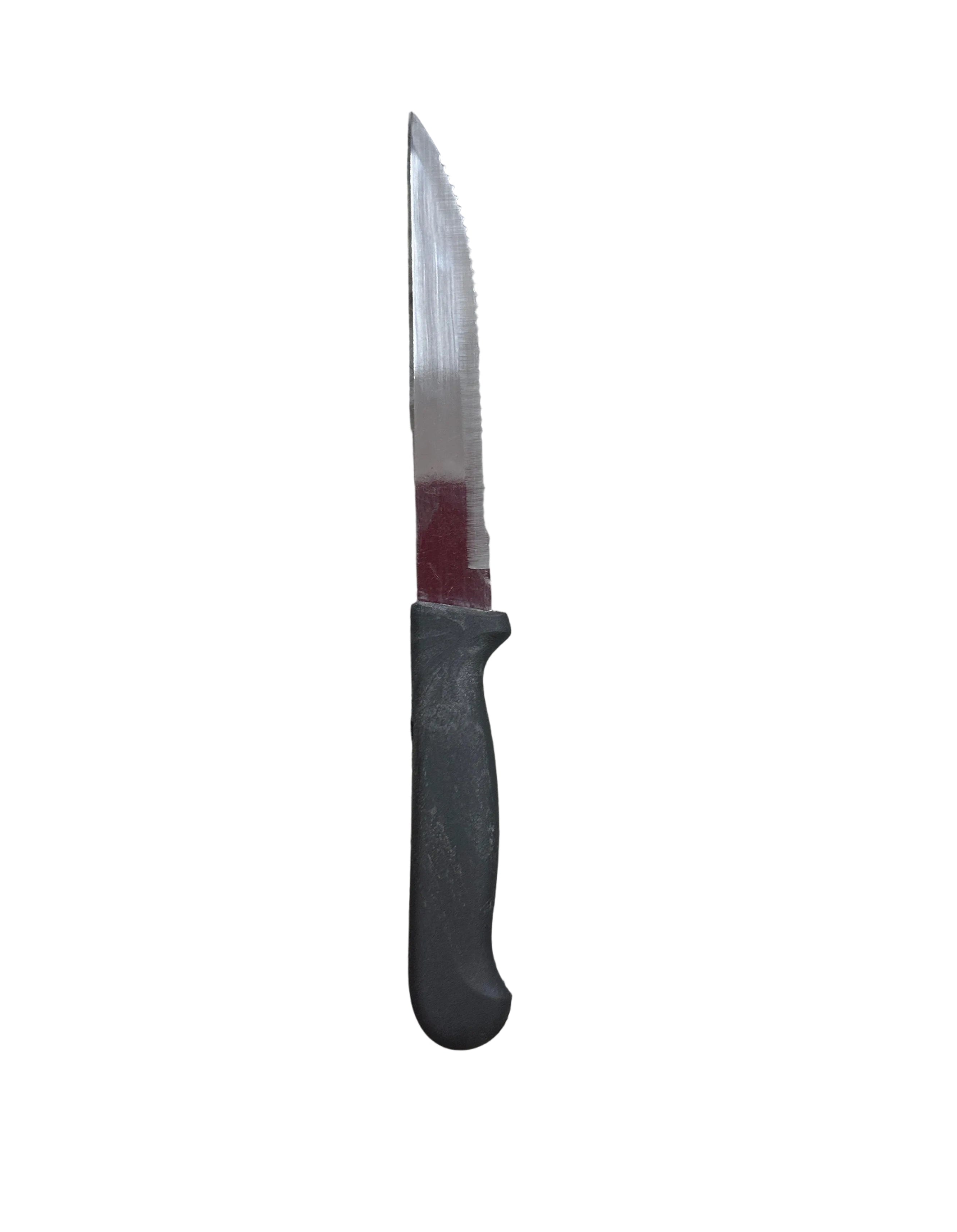 Cuchillo Filetero Punta Con Sierra – Plasti